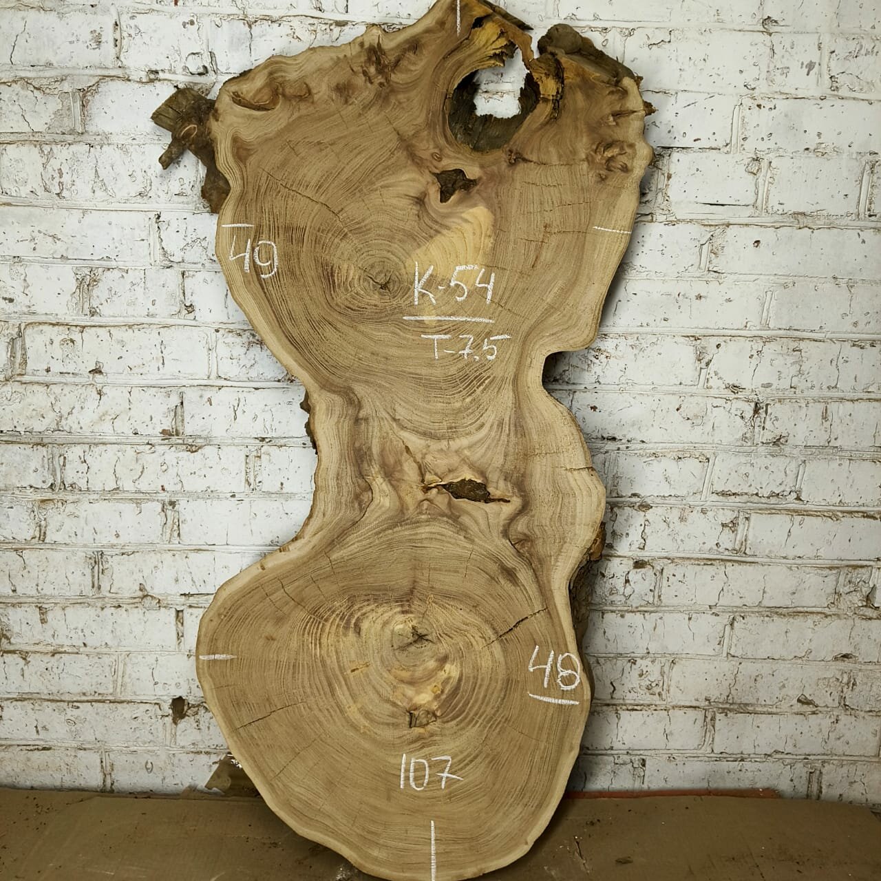 Торцевой спил дерева Карагач К-54, диаметр 49-107 см, выровнен в плоскости