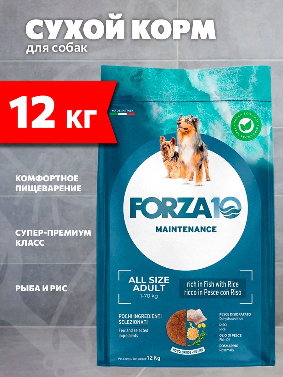 Корм сухой Forza10 Dog Maintenance Adult All Size для взрослых собак всех пород с рыбой и рисом, 12 кг