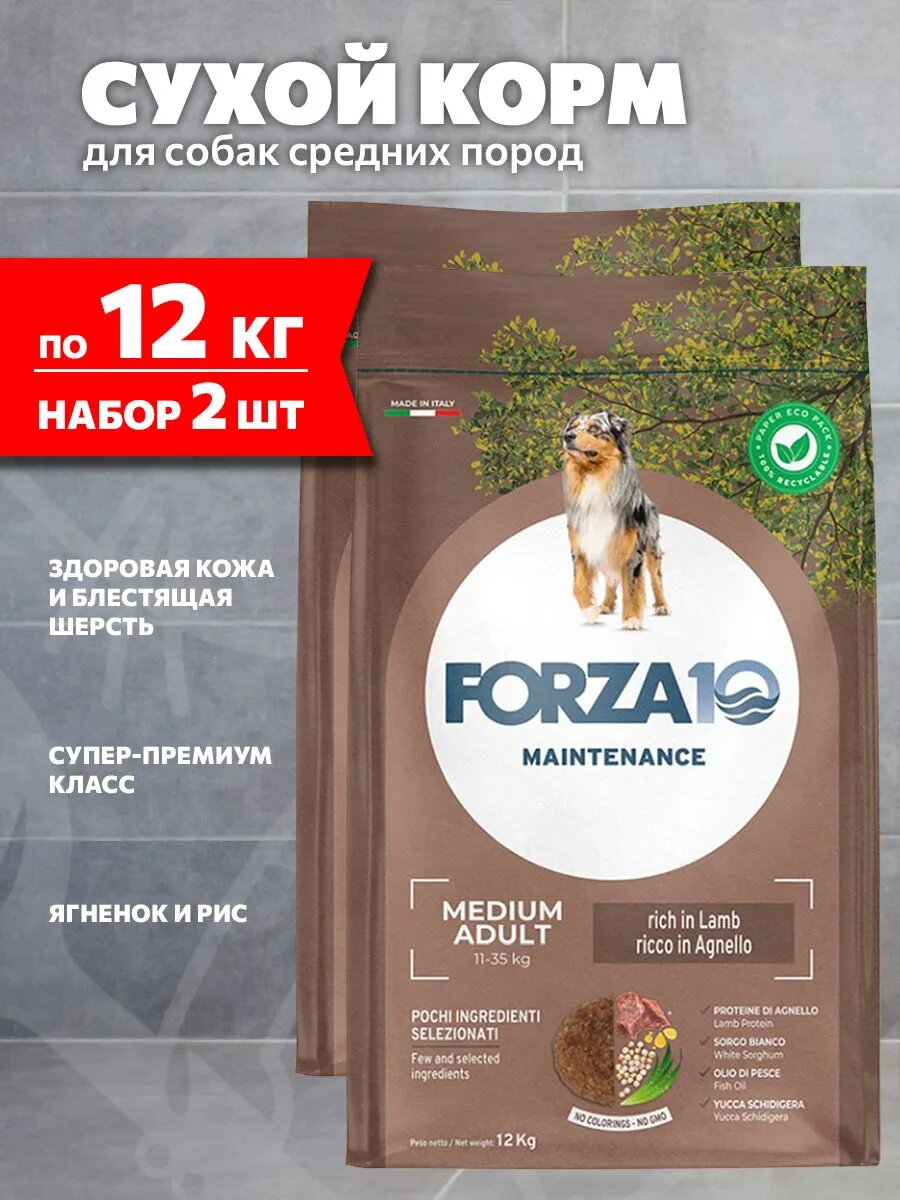 Корм сухой Forza10 Dog Maintenance Adult Medium для взрослых собак средних пород с ягненком и рисом, 12 кг х 2 шт