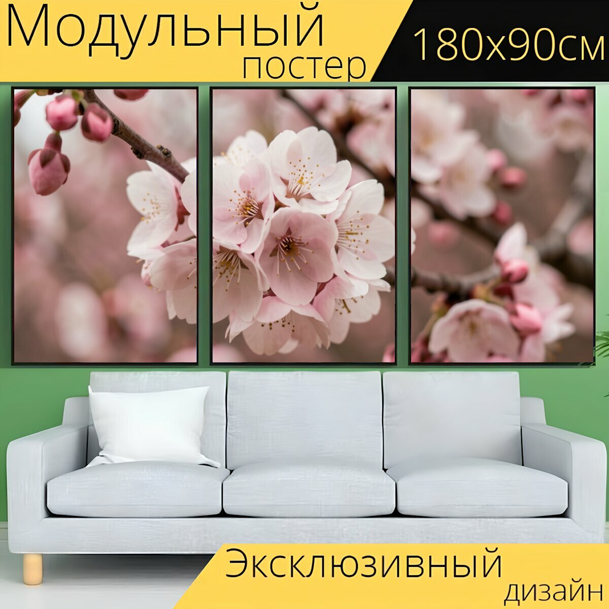 Модульный постер "Нежные цветы сакуры. Пастельные розово-белые соцветия на ветках, мягкий размытый фон, воздушная весенняя композиция." 180 x 90 см. для интерьера на стену в тубусе