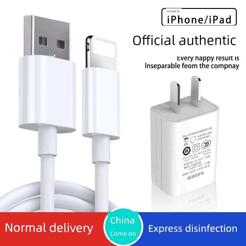 Apple Lightning Cable 0,5 метра с 1А адаптером питания, 1 комплект, для iPhone 6s, 8, SE, XR