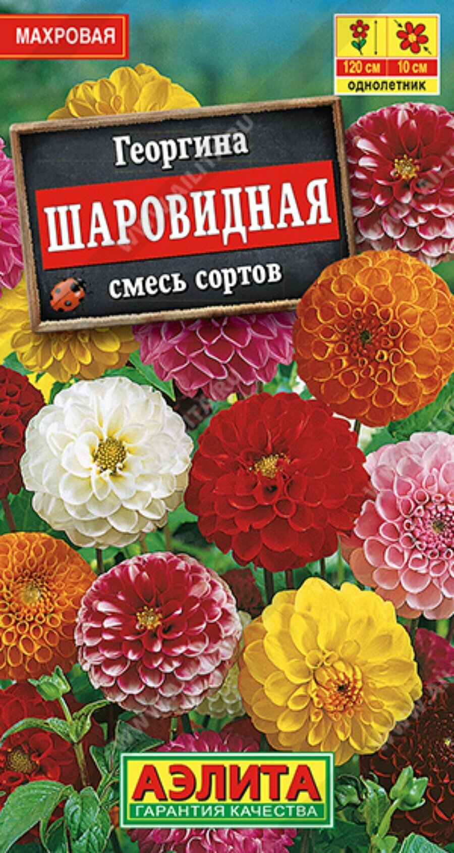 Семена Георгина Шаровидная смесь окрасок (0,2 г), Агрофирма Аэлита