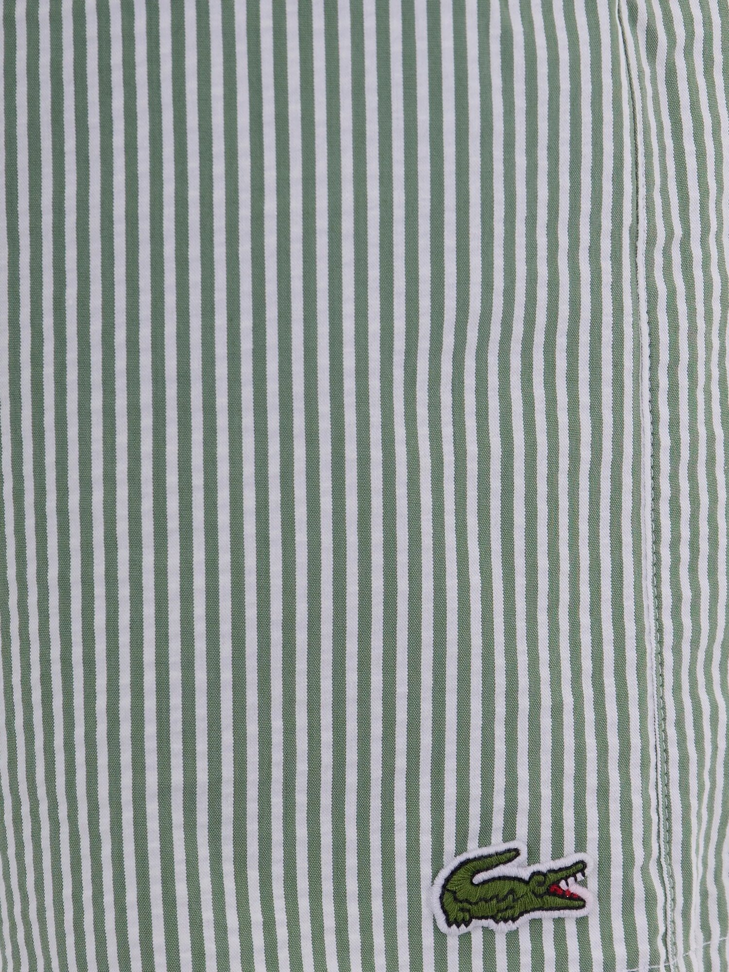 Шорты для плавания LACOSTE Striped swim-shorts, размер M — фото 1
