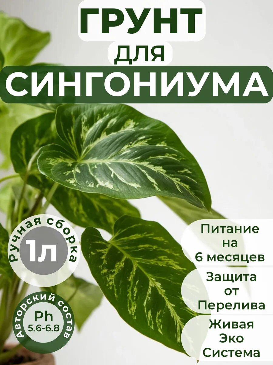 Готовый авторский грунт для Сингониума, премиум 1 литр