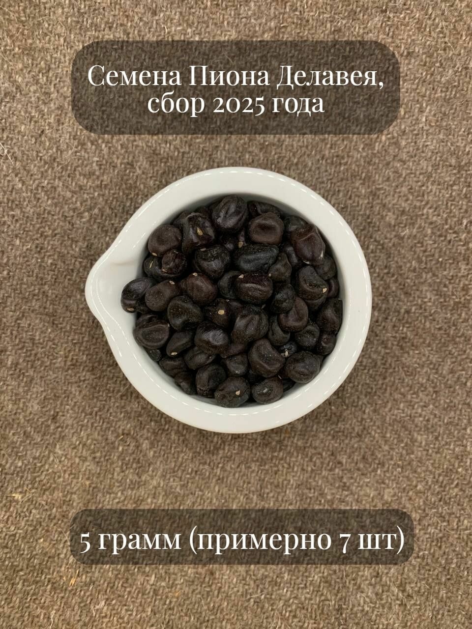 Семена Пиона Делавея, 5 грамм (примерно 7 шт)