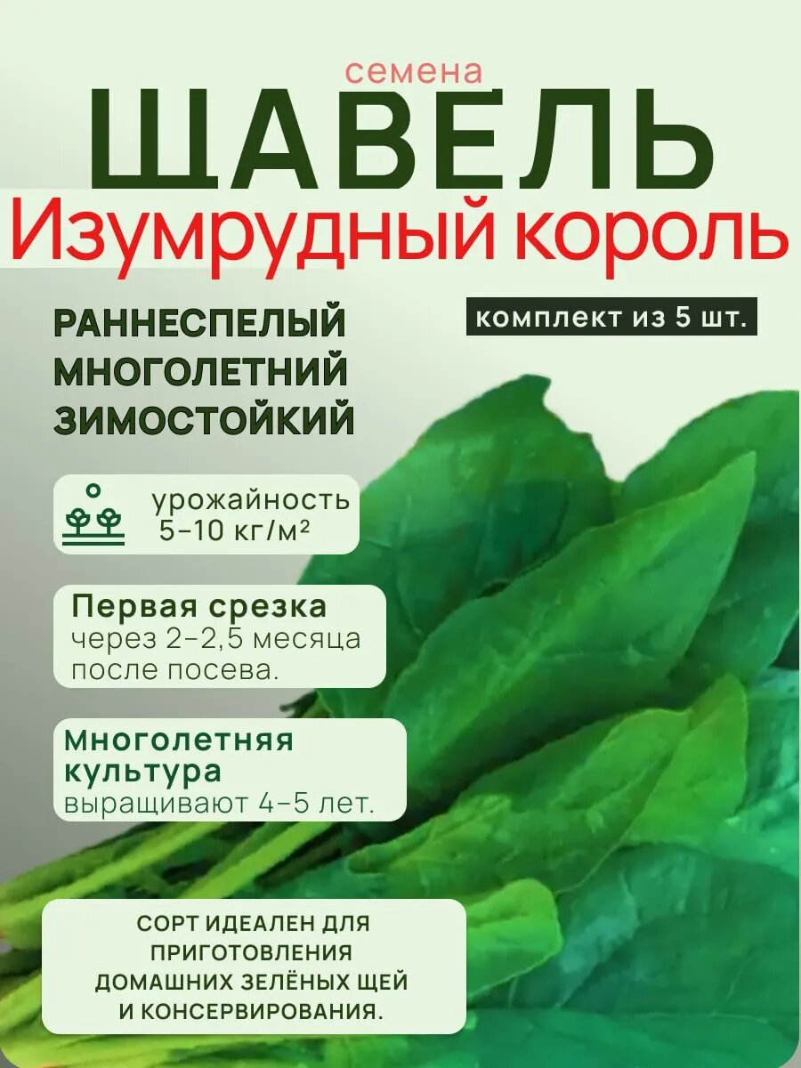 Семена Щавеля сорт Изумрудный король, раннеспелый, 5 упаковок