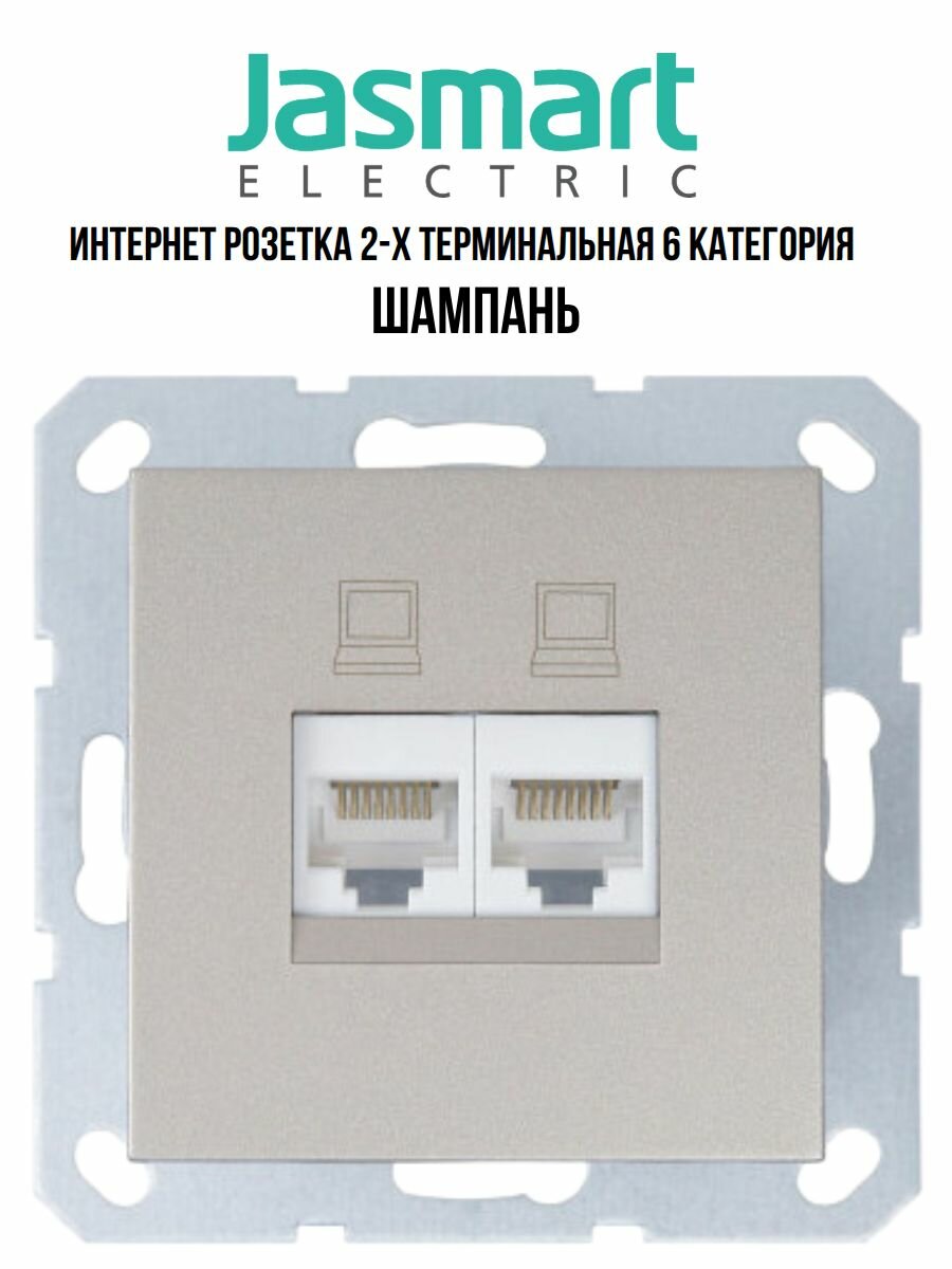 Интернет розетка 2х терминальная 6 категория