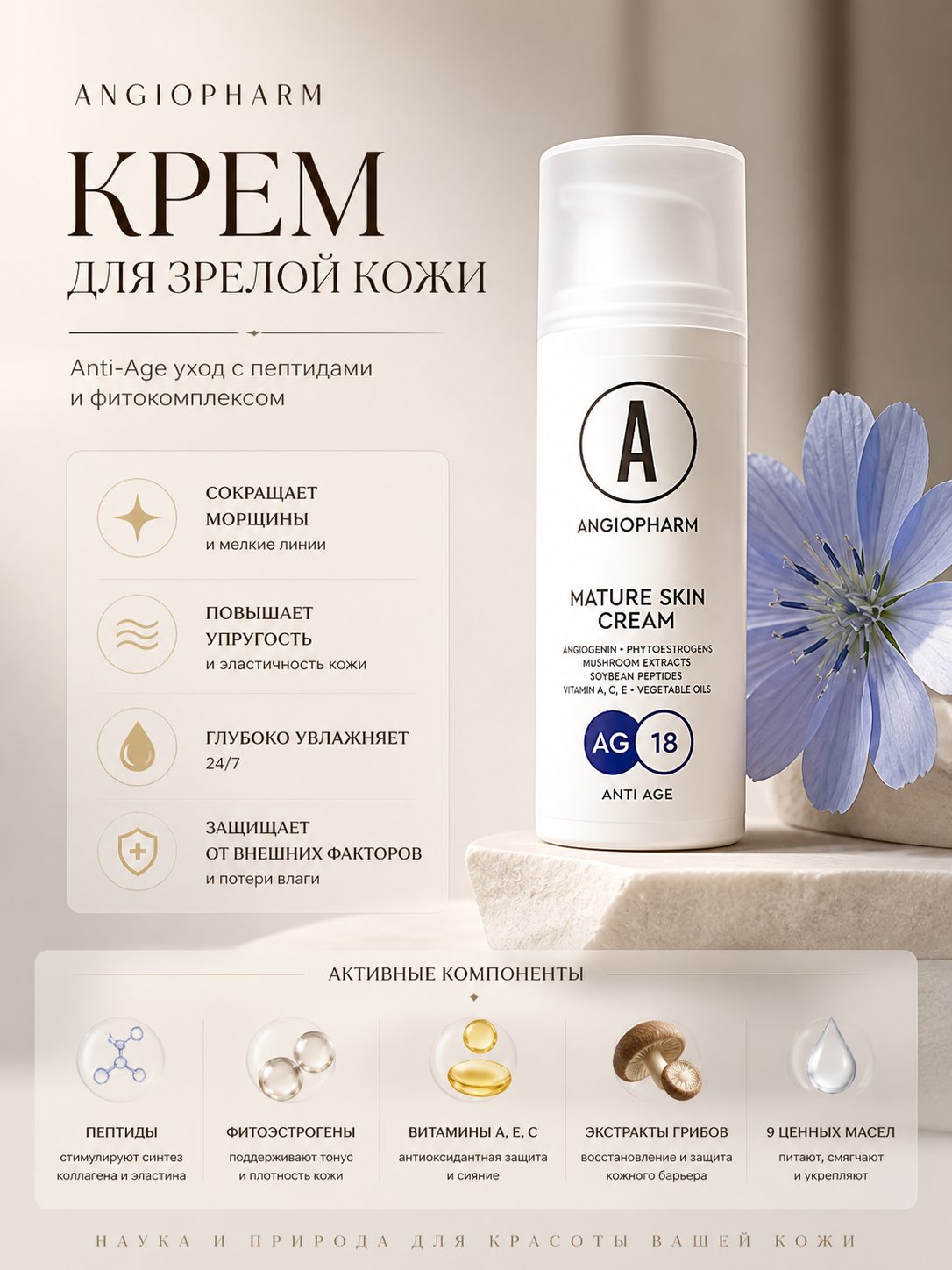 Крем Angiopharm, для зрелой кожи, антиоксидантный, универсальный, 50мл