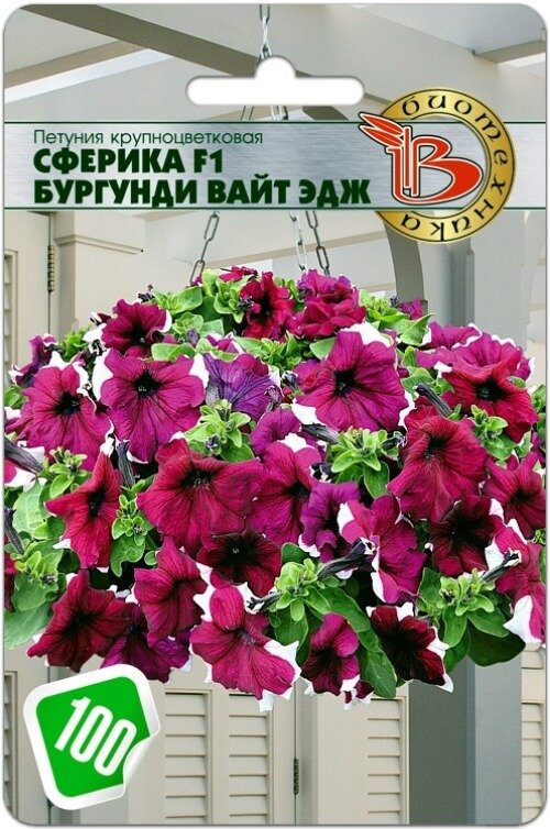 Семена петунии БиоТехника Сферика бургунди вайт эдж, 10 шт