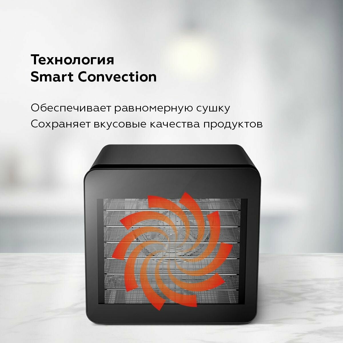 Сушилка для овощей и фруктов BQ FD1006 Black