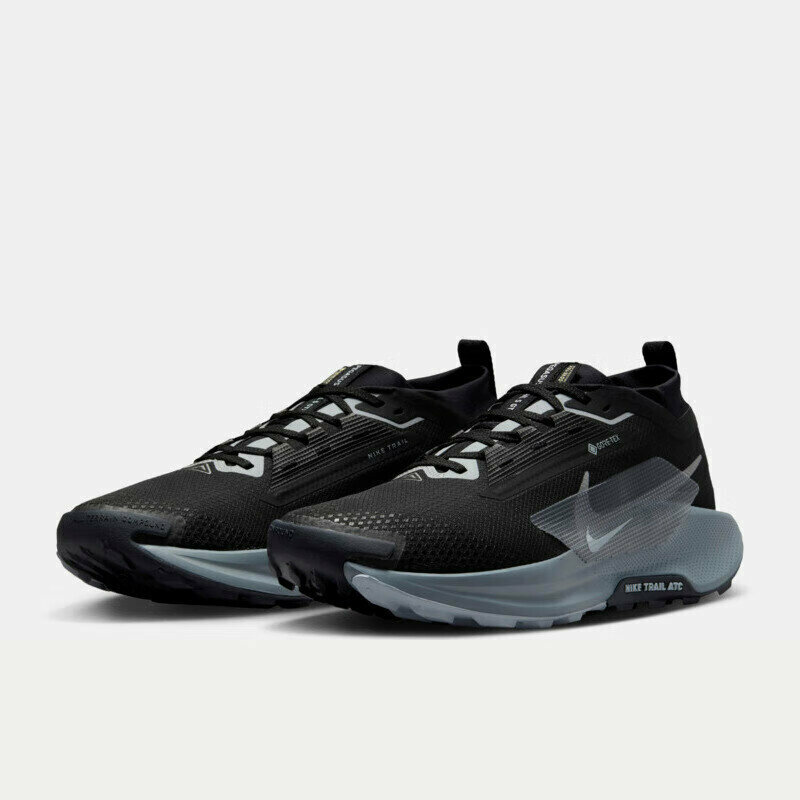 Кроссовки PEGASUS TRAIL 5 GTX