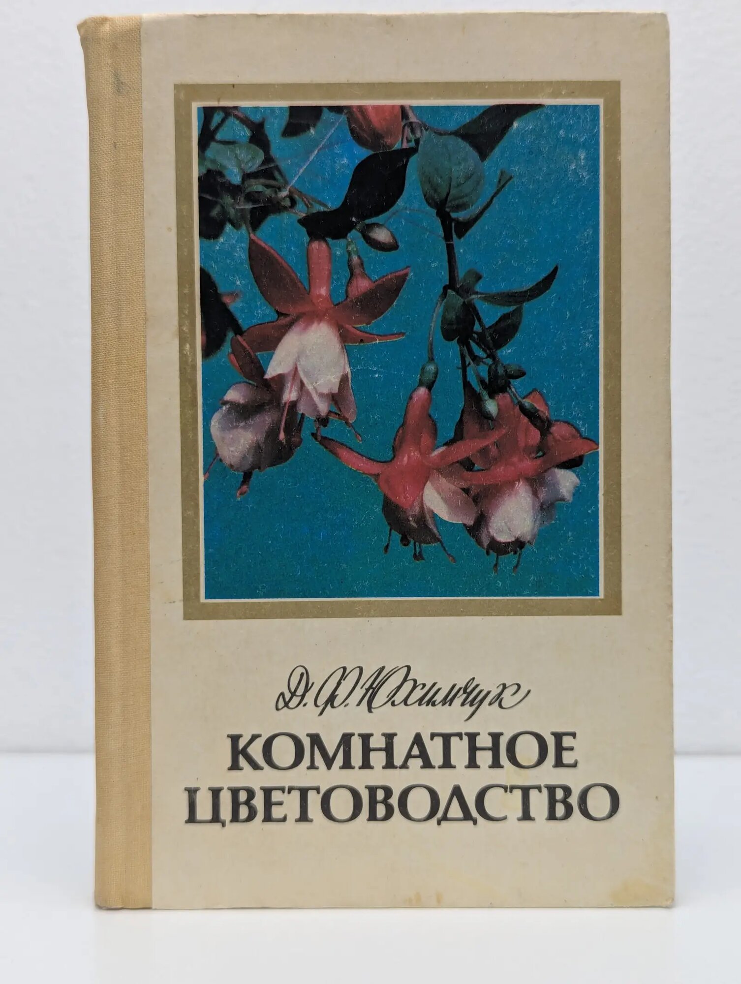 Комнатное цветоводство Юхимчук Данил Филиппович 1985