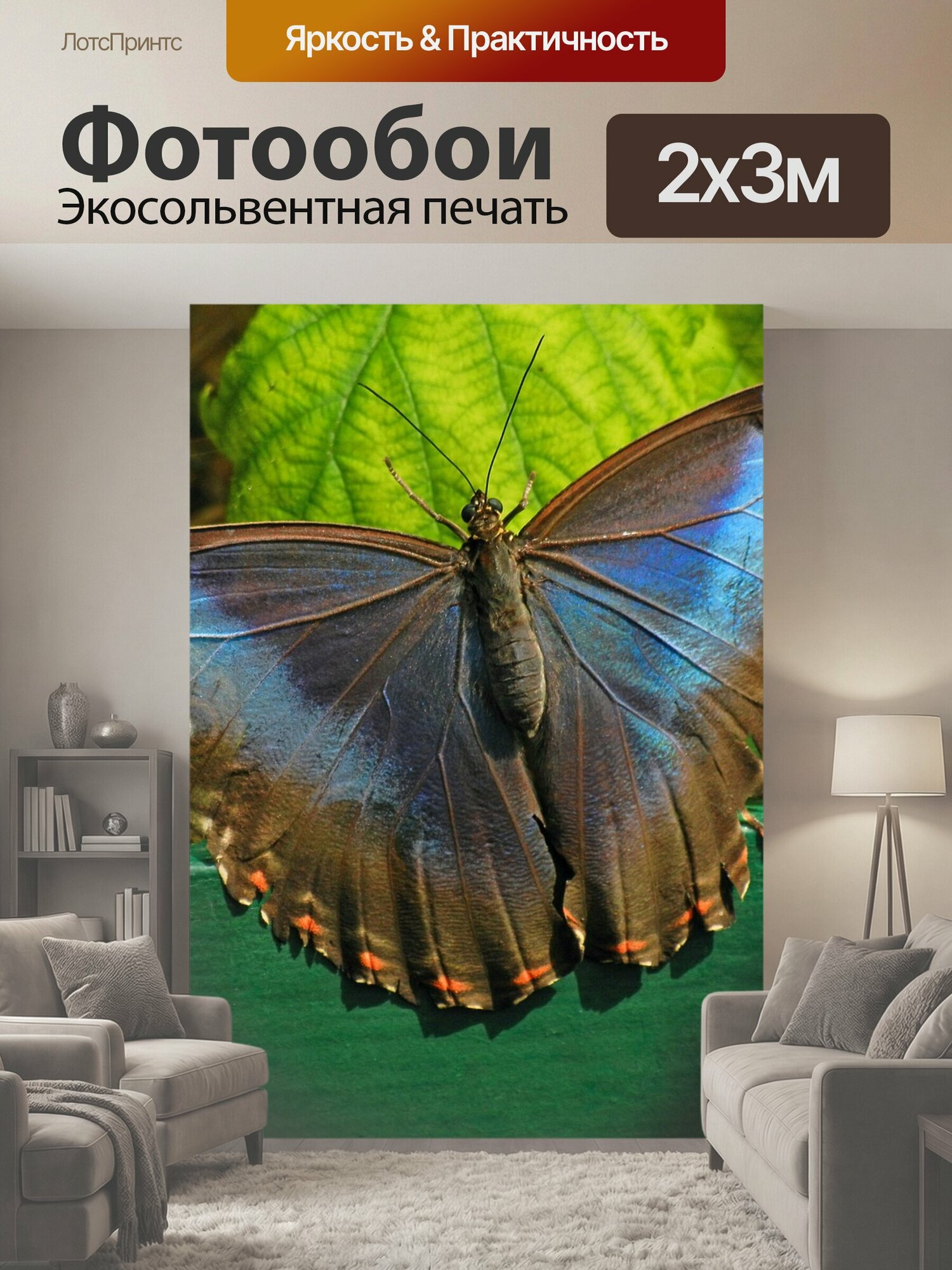 Фотообои "Бабочка, мотылек, насекомые" 200x300 см. экосольвентная печать