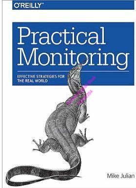 Practical Monitoring: Effective Strategies for the Real World Reprinted books