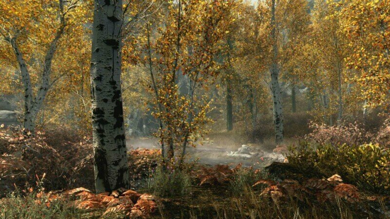 Игра NIN The Elder Scrolls V Skyrim — фото 1
