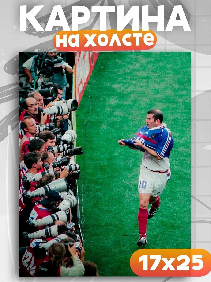 Картина на стену Зинедин Зидан футболист, на подрамнике, 1шт, 25х17 размер.