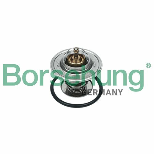 Термостат охлаждающей жидкости Borsehung B18265