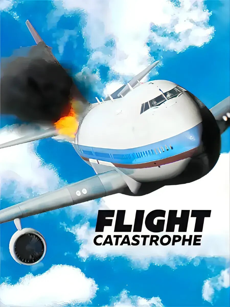 Flight Catastrophe, игра для ПК (на флешке USB)