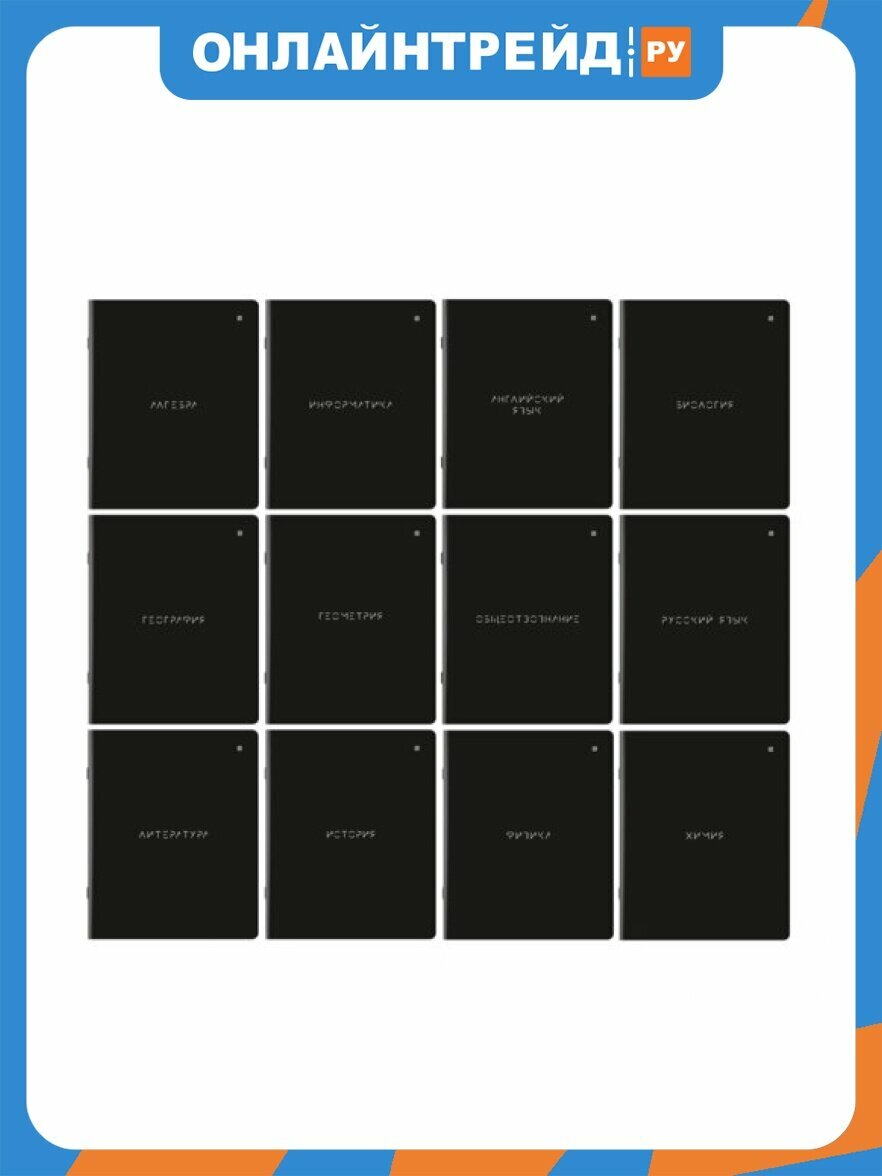 Тетради предметные Brauberg комплект 12 предметов, "MINIMAL", 48 л, матовая ламинация, , 404831