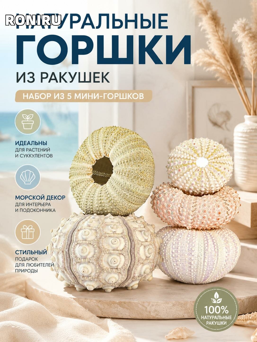 Натуральные горшки из ракушек для растений и морского декора — набор из 5 мини-горшков для интерьера и подоконника