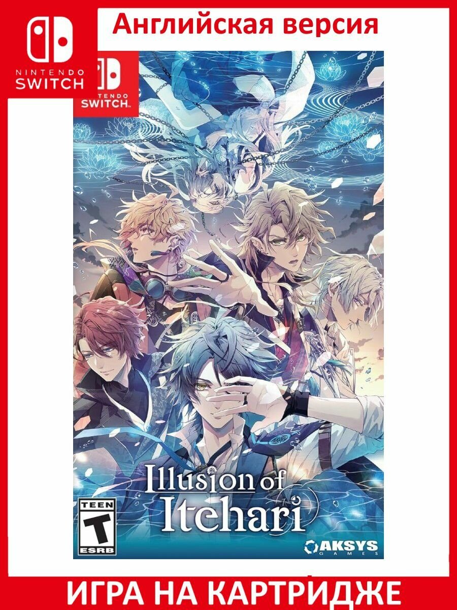 Игра illusion of Itehari Switch Картридж на Nintendo Switch Английская версия