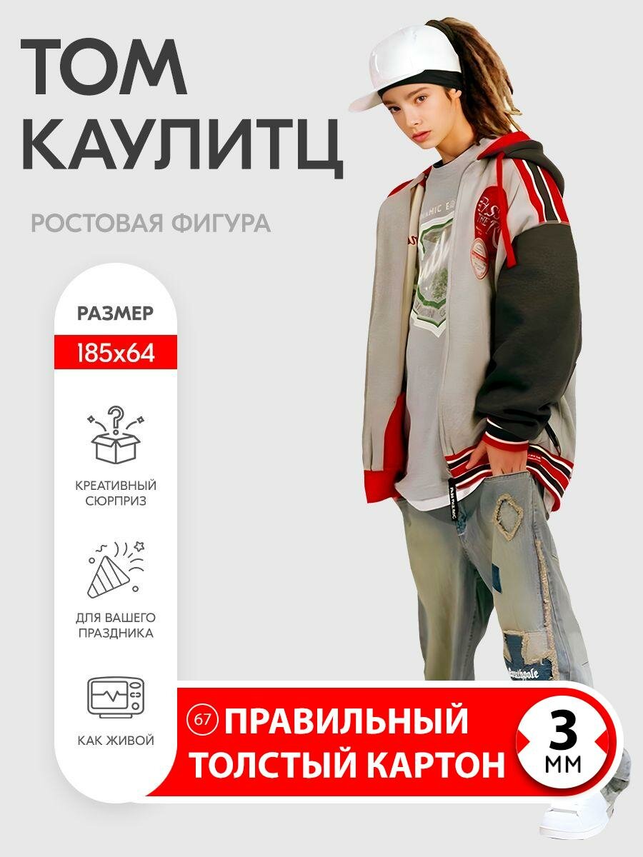 Аксессуар для фотосессий, Том Каулитц (Tokio Hotel) 2, ростовая фигура