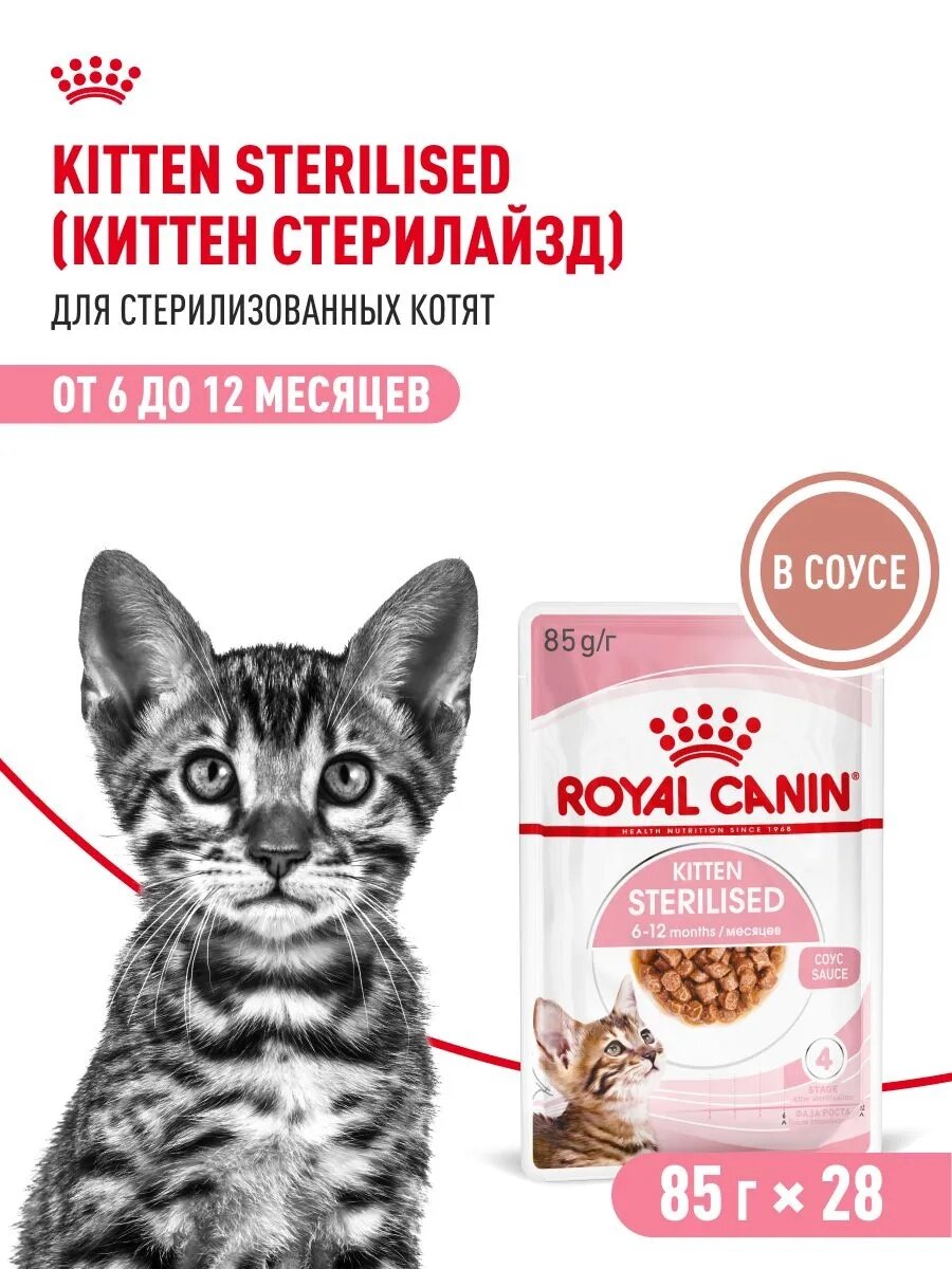 Влажный корм ROYAL CANIN KITTEN STERILISED для котят для стерилизованных, кусочки в соусе, 85 г х 28 шт
