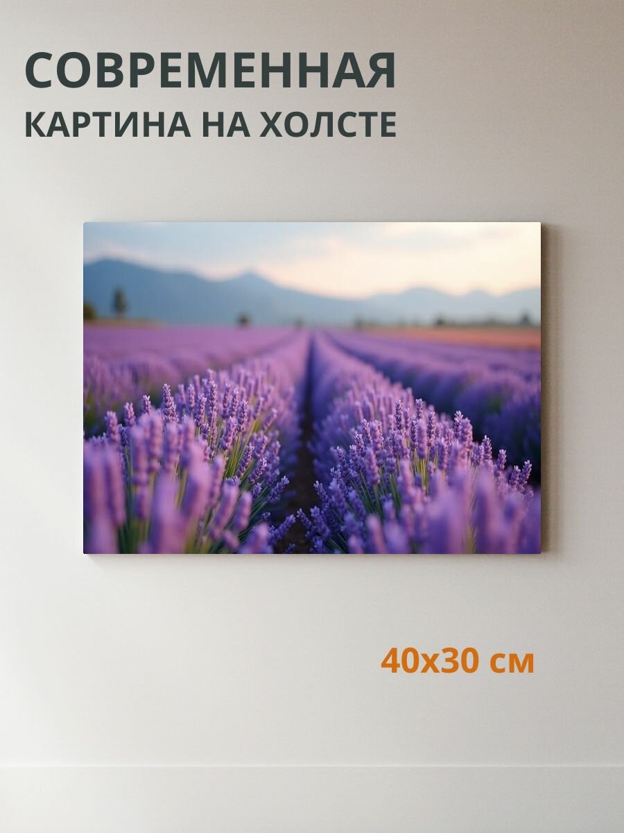 Картина на холсте Поле 40x30 см