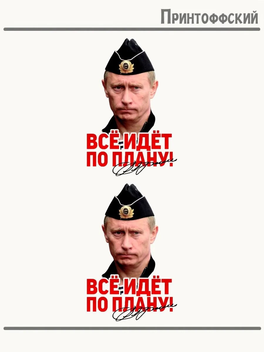 2-е (Две) Термонаклейки всё идет по плану! путин лицо