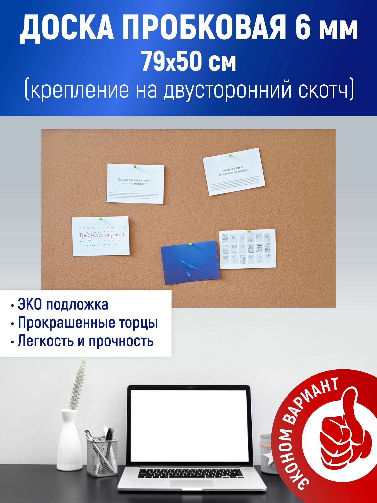 Пробковая доска на стену 50х80 6 мм для заметок записей фотографий и рисунков, стенд органайзер информационный без рамы