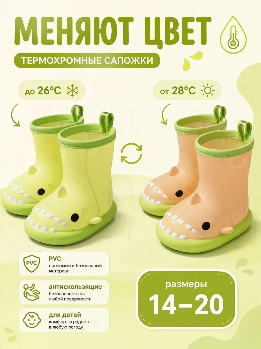 Сапоги