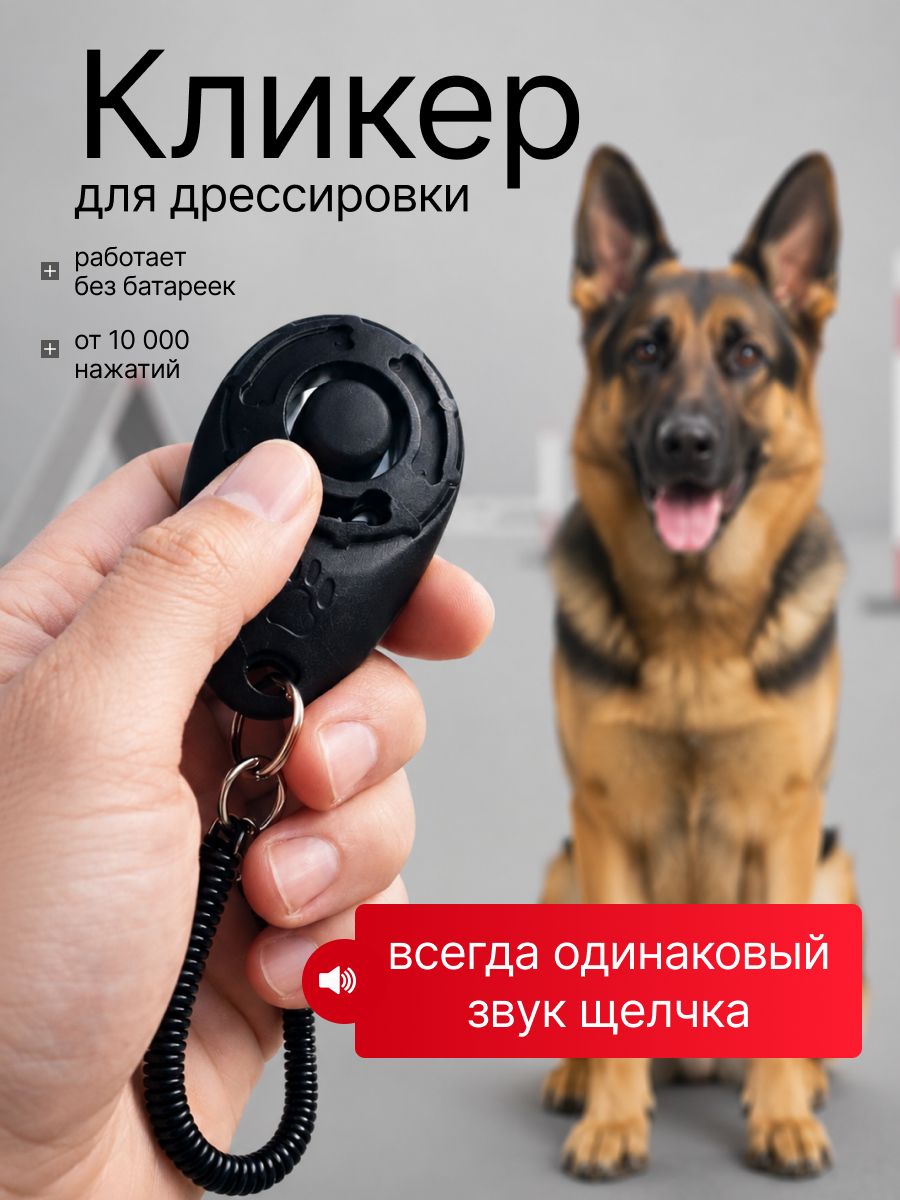 Кликер для дрессировки собак, с браслетом, с кнопкой