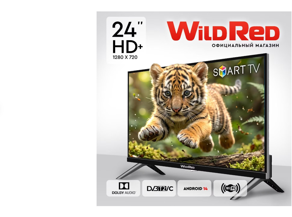 Телевизор WILDRED 24QWS9001
