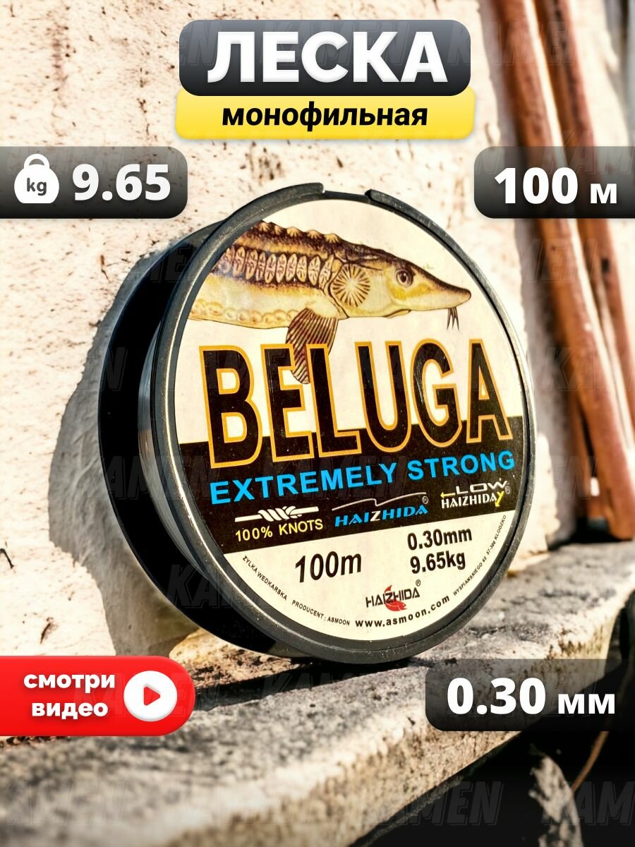 Леска для рыбалки 0,30 мм, 100м, спиннинга, фидера, поводков, бисера, монофильная рыболовная леска белуга для зимней рыбалки
