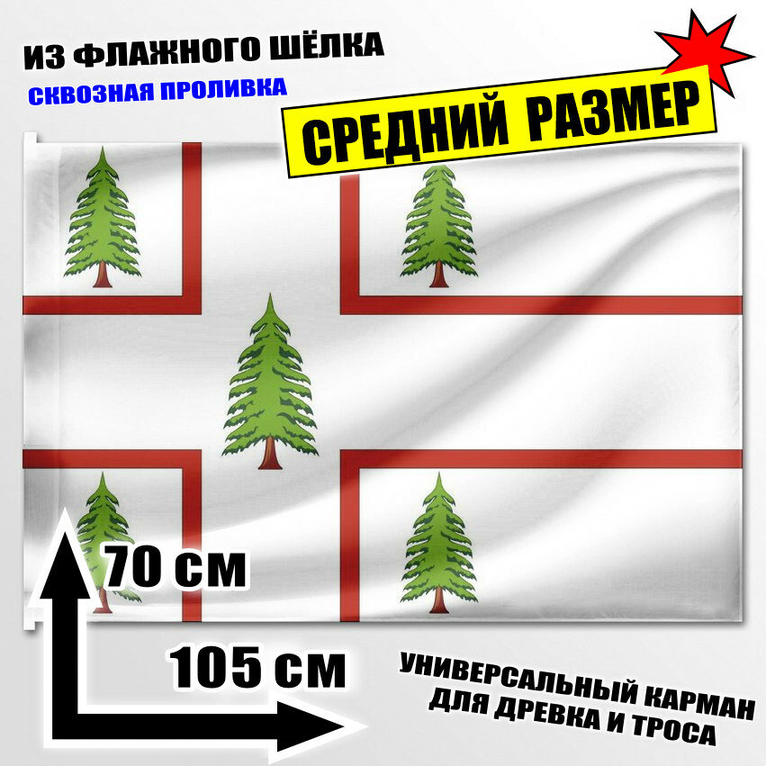 Флаг средний Рамешковского района 105x70 см