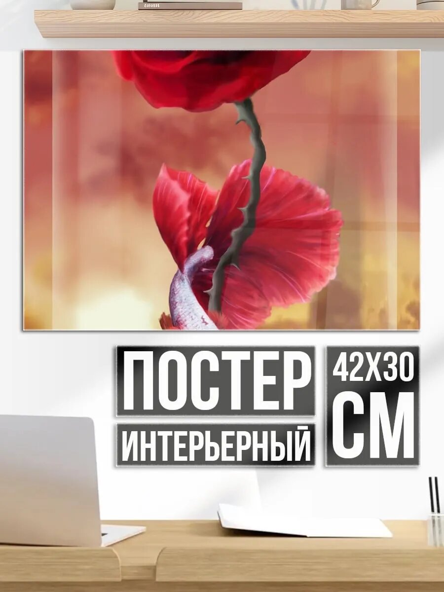 Плакат постер Роза под куполом