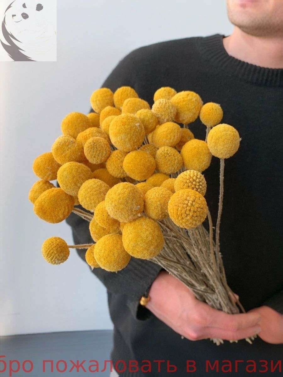 Сухоцветы, 80 гр, 20 шт