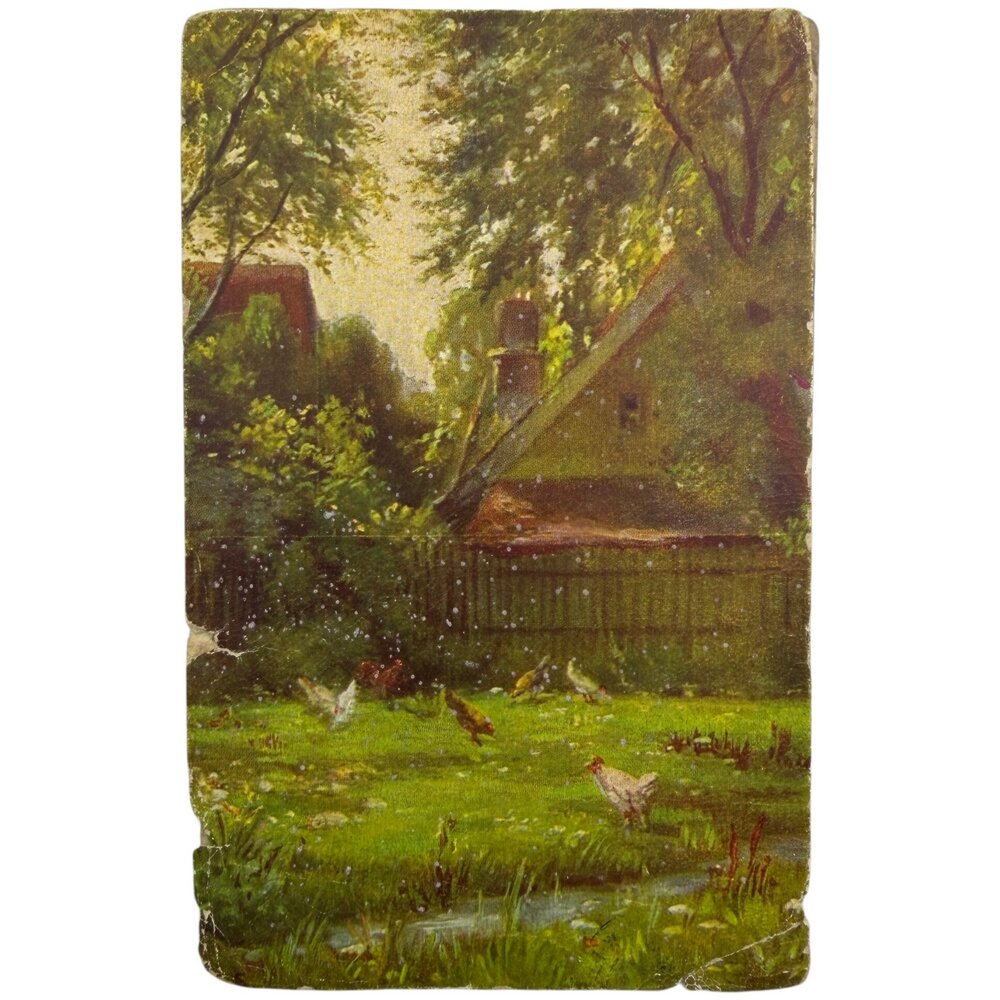 Почтовая открытка "Птичий двор у ручья" 1900-1910 гг. Германская Империя