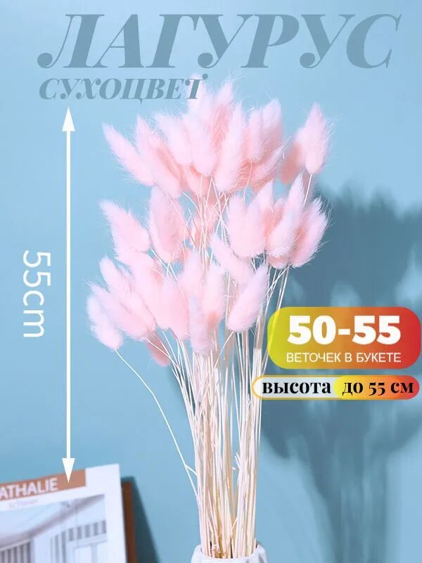 Сухоцветы Лагурус, 55 см, 40 гр, 55 шт