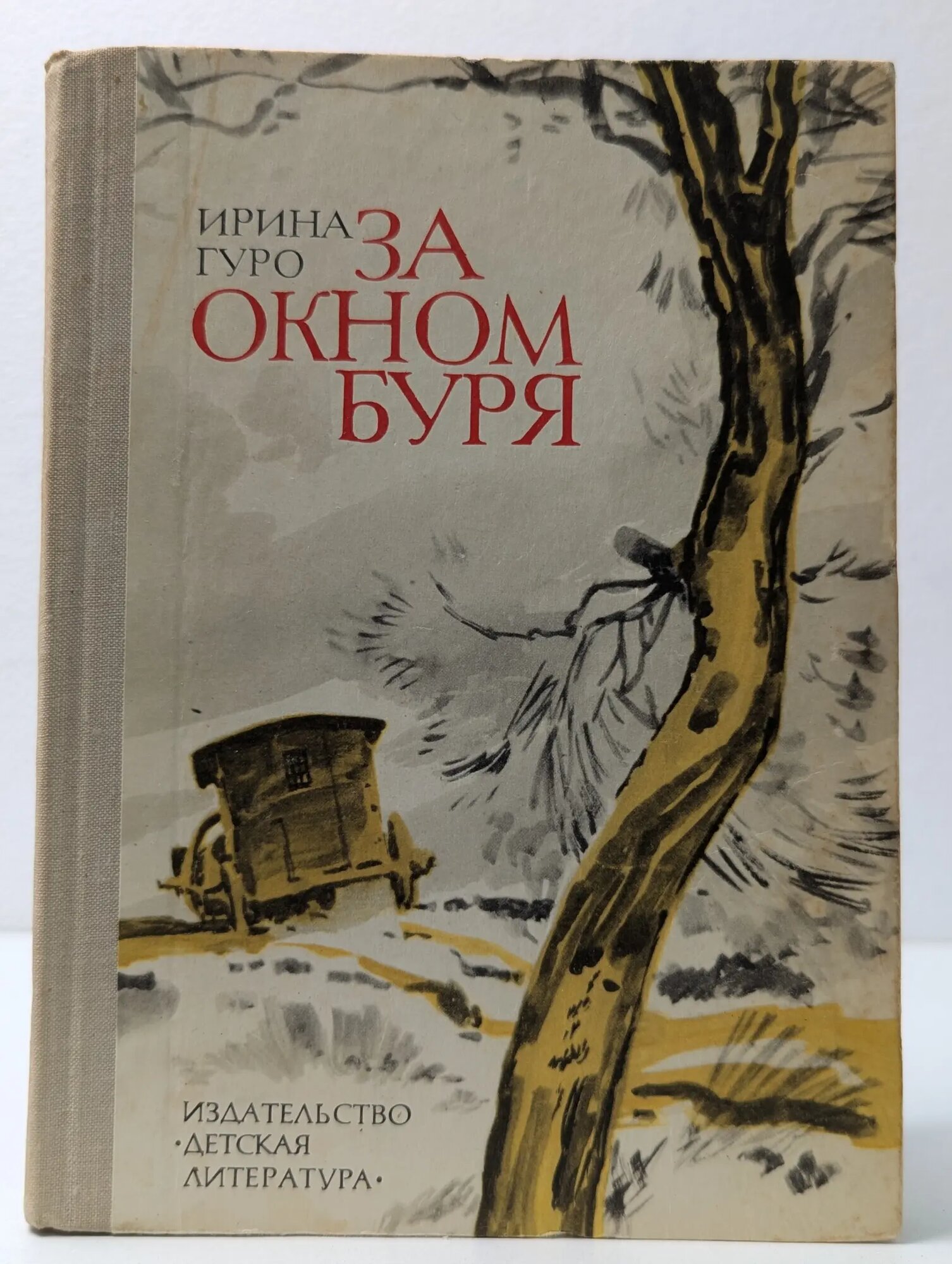За окном буря Гуро Ирина Романовна 1970