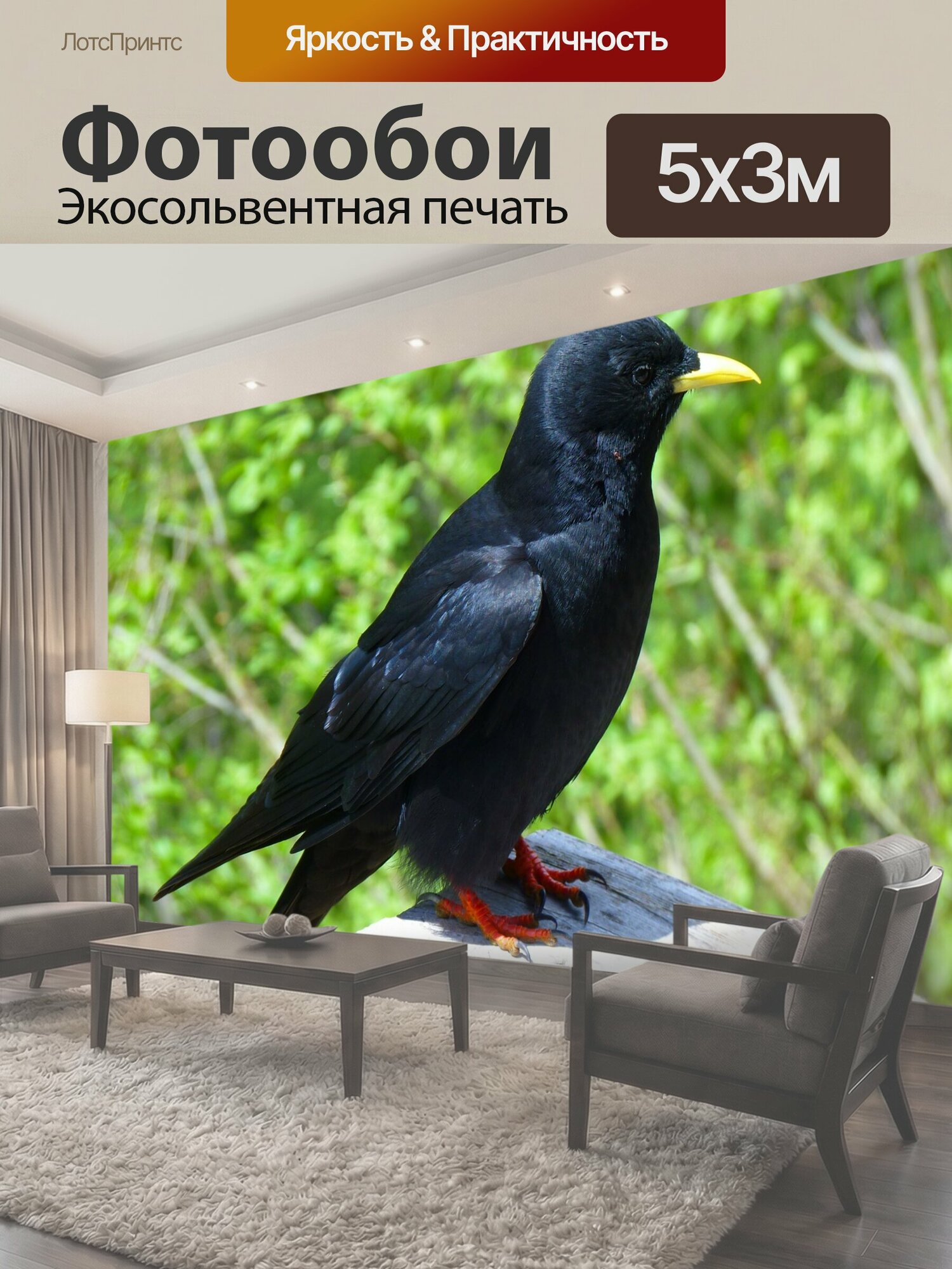 Фотообои "Галка, птица, чернить" 500x300 см. экосольвентная печать