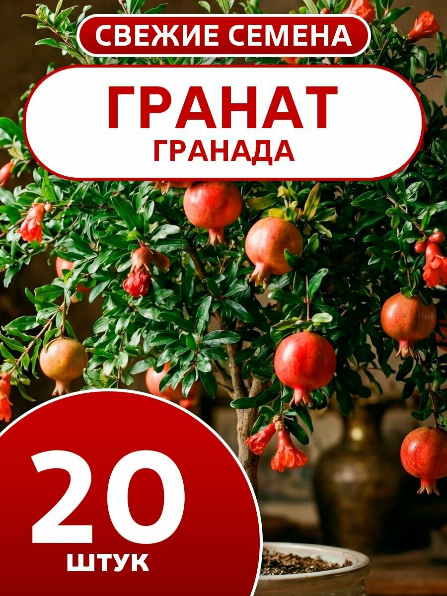 Семена Граната комнатного для выращивания, 20 шт