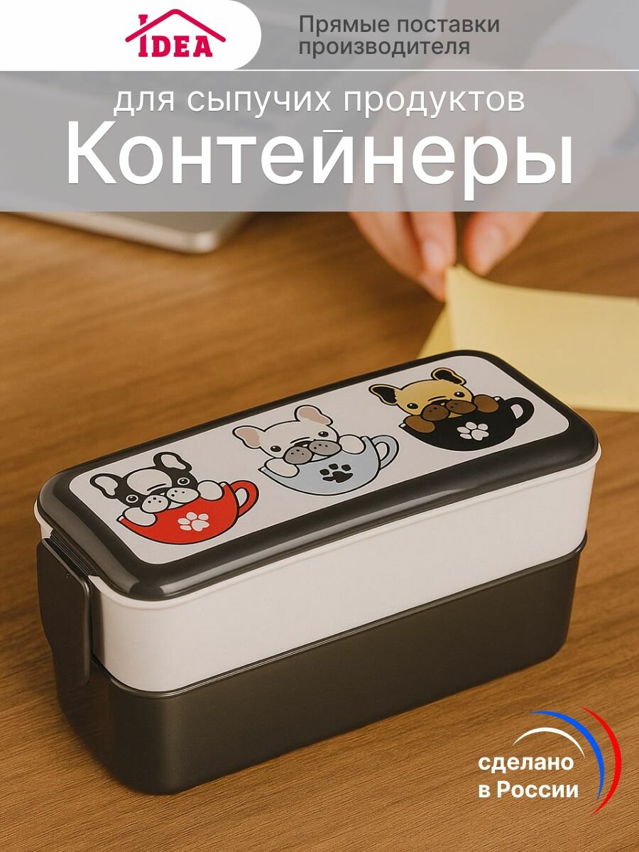 Контейнер для еды с 2 отделениями, ланчбокс пластиковый в школу для детей пластиковый