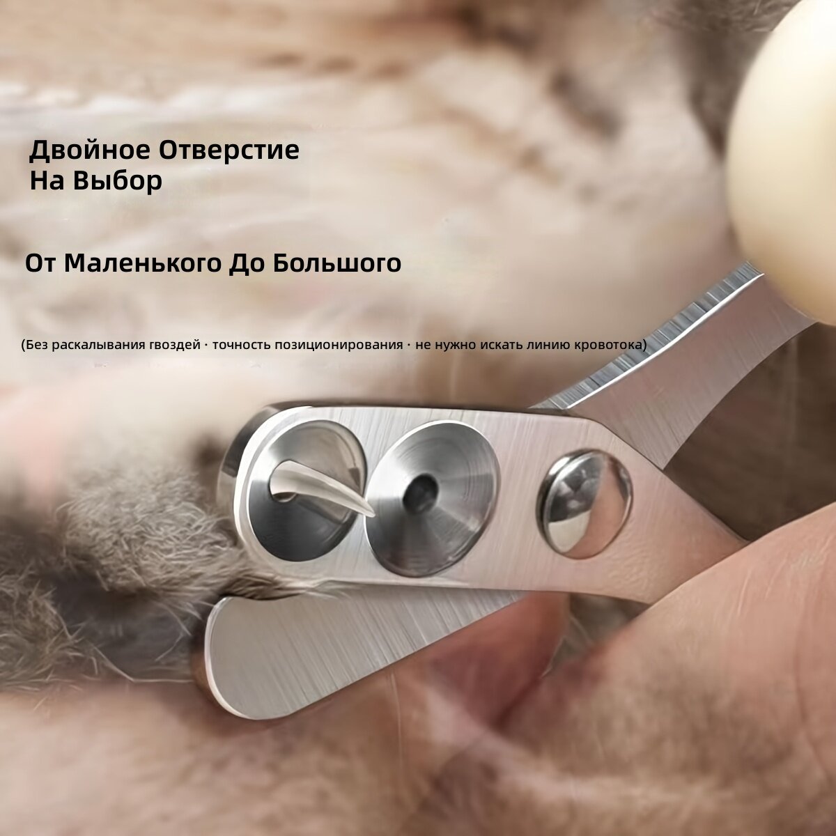 Пара профессиональных двойных кусачек для когтей кошек и собак с круглой головкой, из нержавеющей стали, для безопасного и удобного подстригания, предотвращает чрезмерное обрезание, удобная ручка, цвет оранжевый