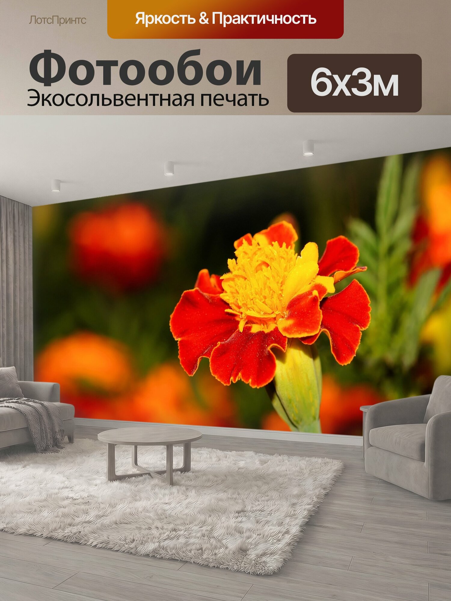 Фотообои "Бархатцы, цветок, цвести" 600x300 см. экосольвентная печать