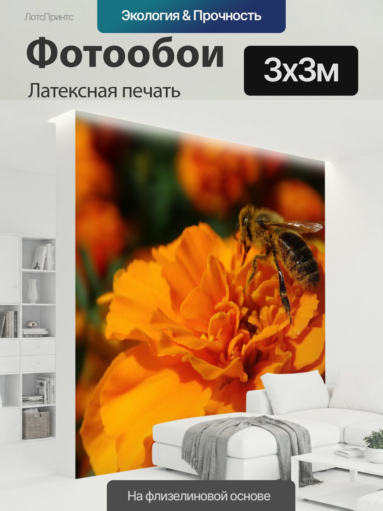 Фотообои моющиеся ударопрочные "Бархатцы, цветок, цвести" 300x300 см. латексная печать