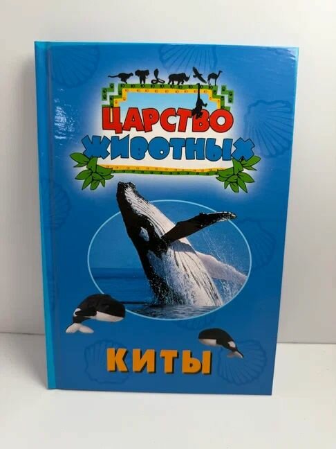 Царство животных. Киты
