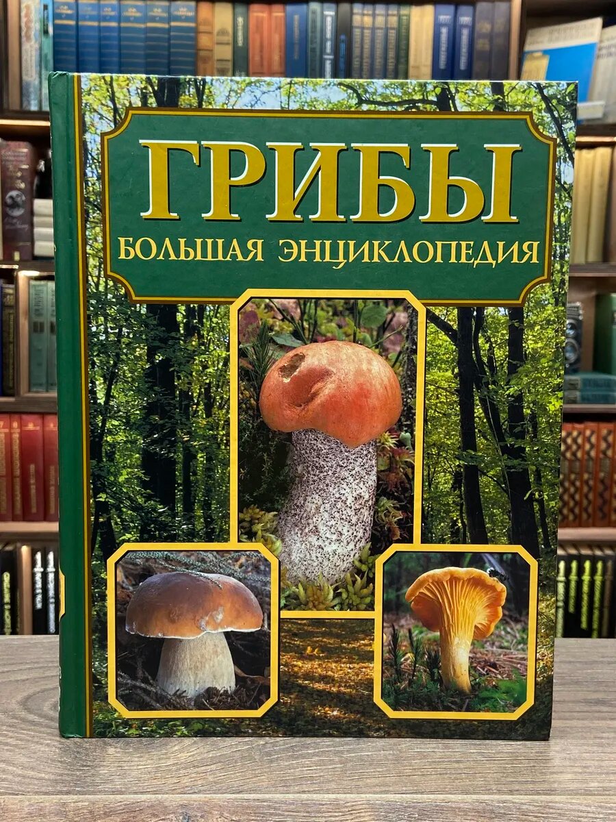 Грибы. Большая энциклопедия
