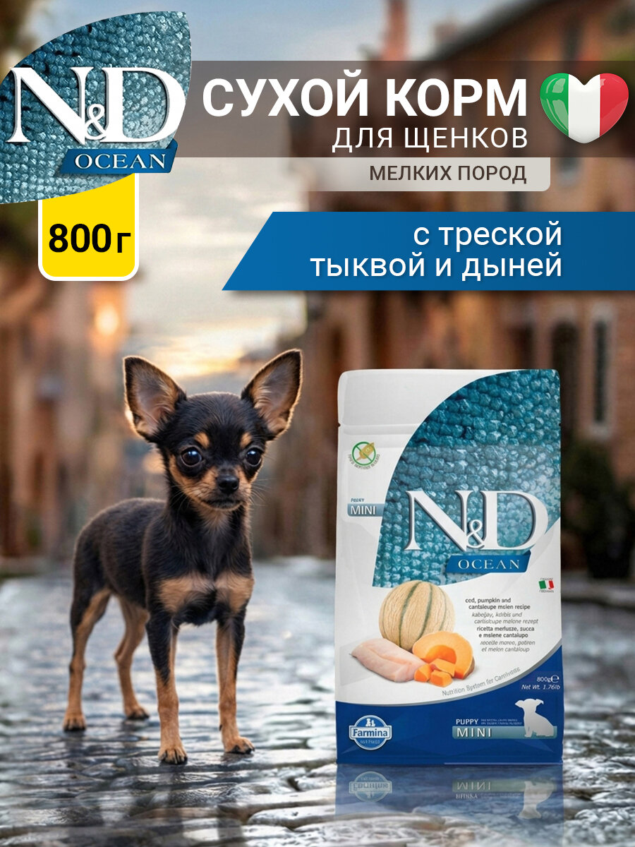 Сухой корм Farmina N&D Ocean (Фармина) для щенков мелких пород с треской, тыквой и дыней, 0,8 кг