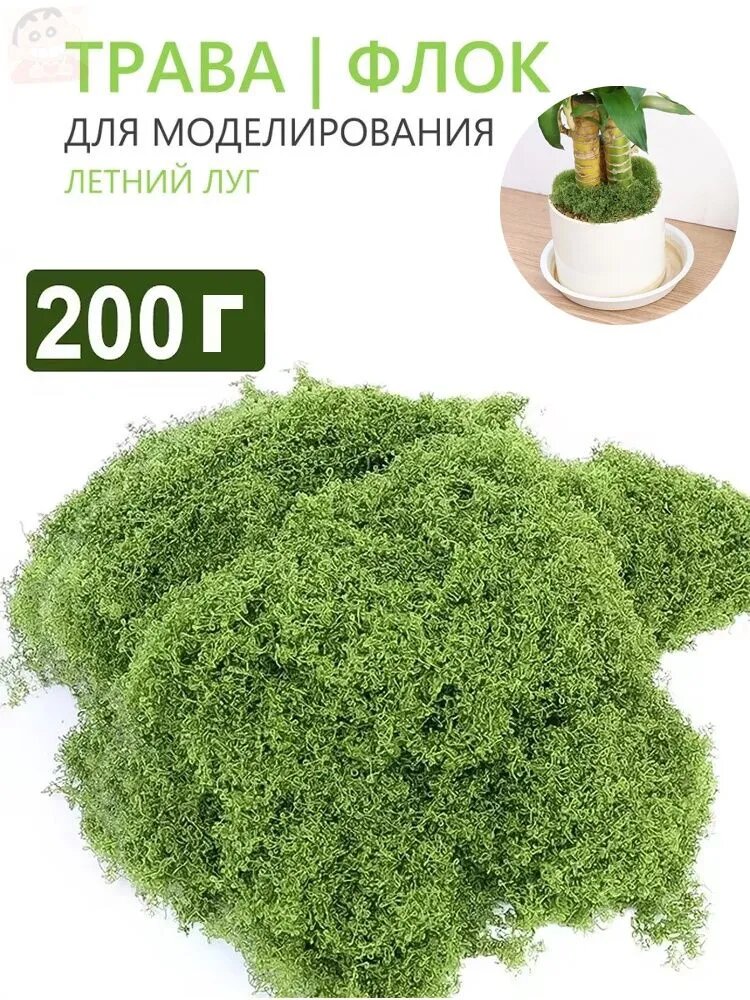 Стабилизированный мох Мох зеленый